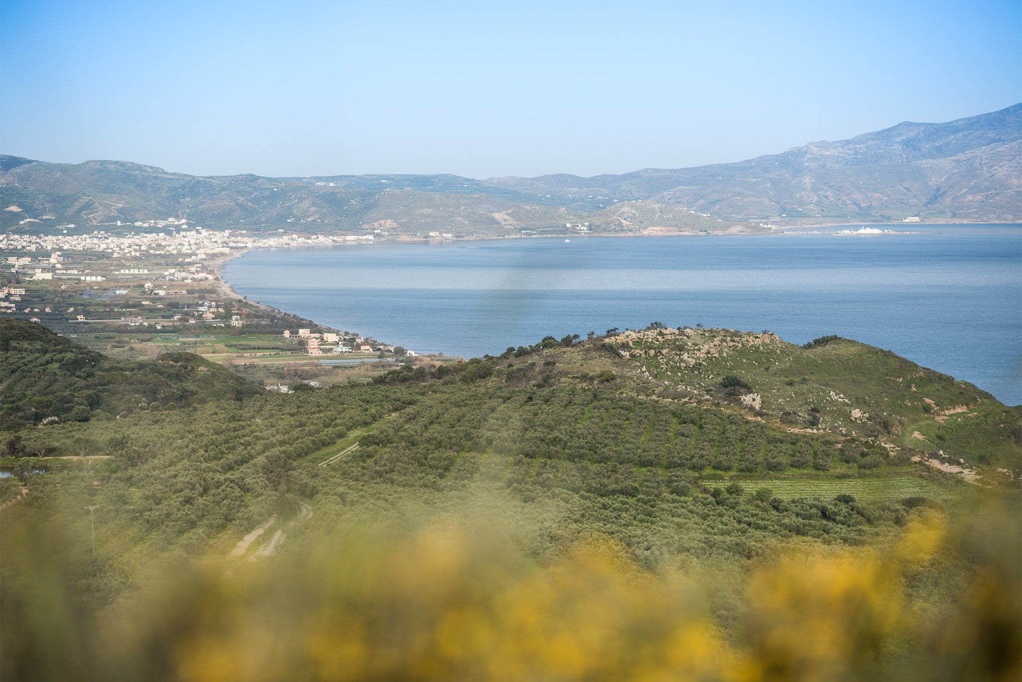Πώς το κλίμα και το περιβάλλον των Χανίων συμβάλλουν στην παραγωγή ενός ...